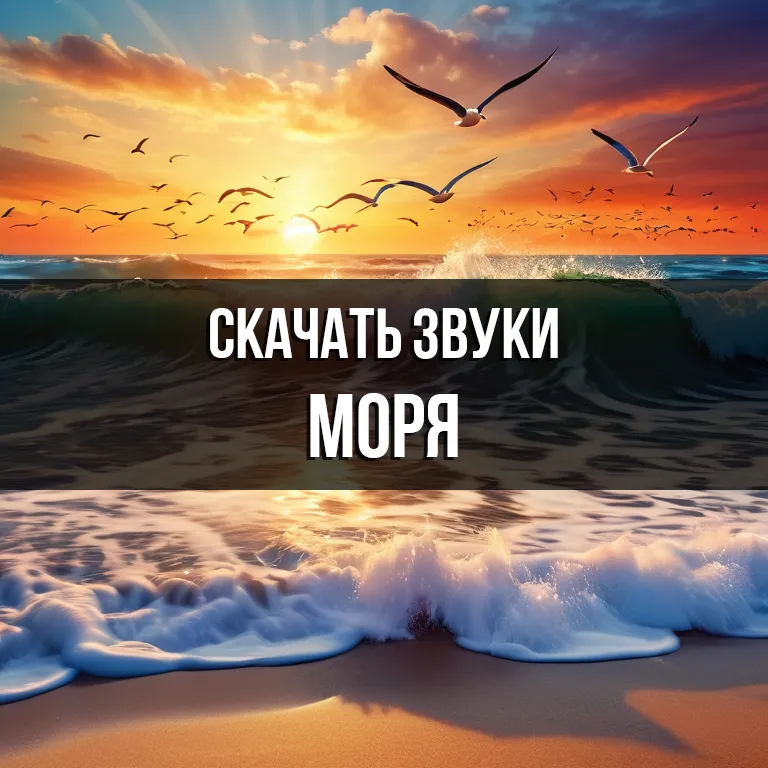 Звуки моря скачать бесплатно на Zvukogram